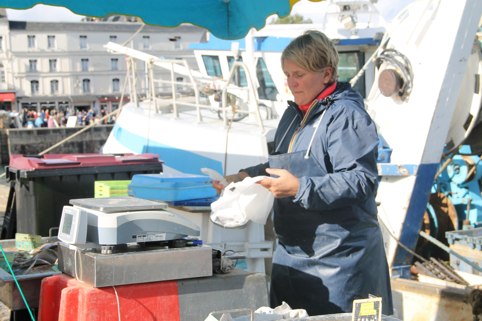 A Honfleur, la fête de la Crevette change de nom ! - Mairie de Honfleur ...